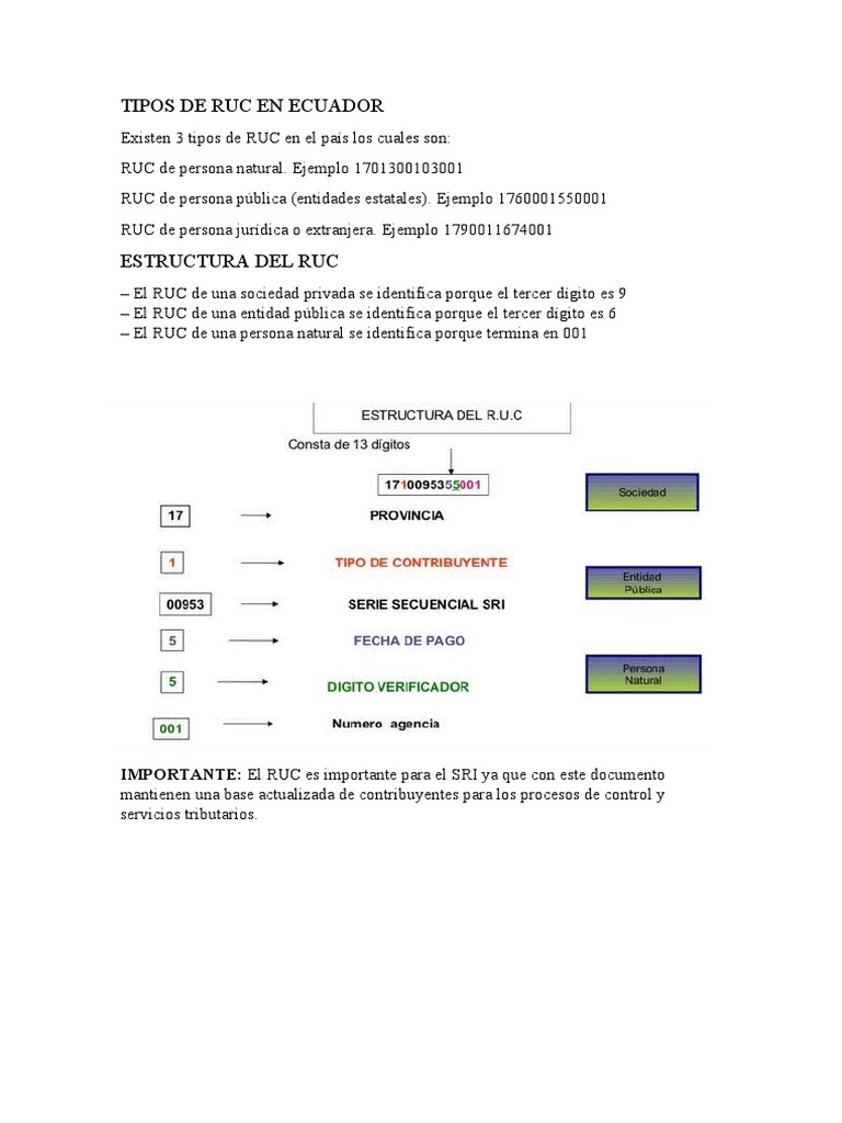 Tipos de Ruc en Ecuador | PDF