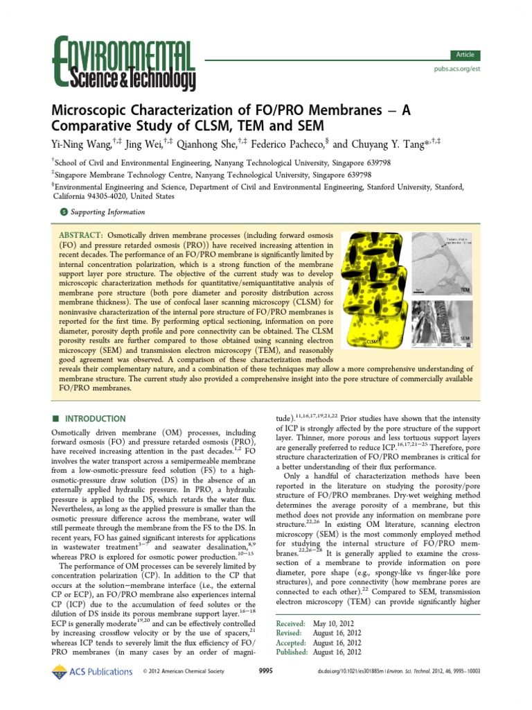 Jurnal Sem Tem Fix | PDF | Scanning Electron Microscope | Porosity