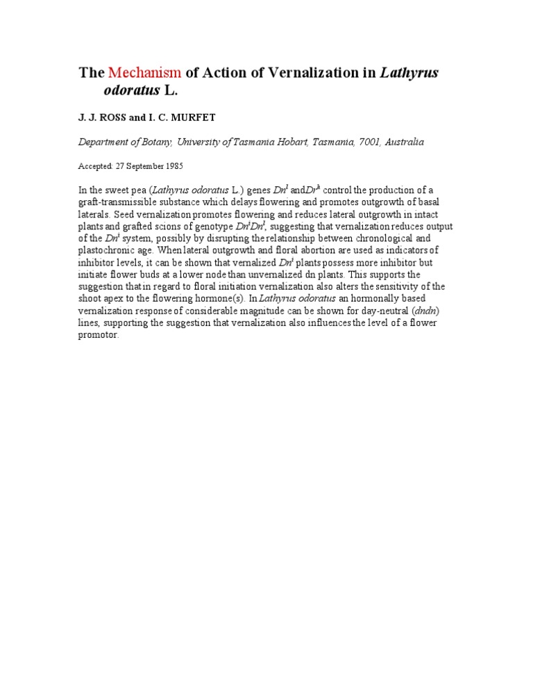 The Mechanism of Action of Vernalization in Lathyrus Odoratus L | PDF ...