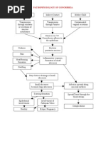 STD Pathophysiology Guide | PDF | Infection | Sexually Transmitted ...