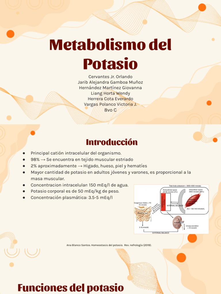 Metabolismo Del Potasio | PDF | Potasio | Química