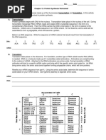 Protein Structure Worksheet | PDF | Biomolecular Structure | Proteins