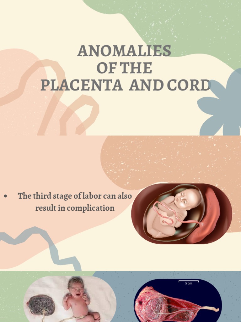 Anomalies of The Placenta and Cord | PDF | Placenta | Fetus