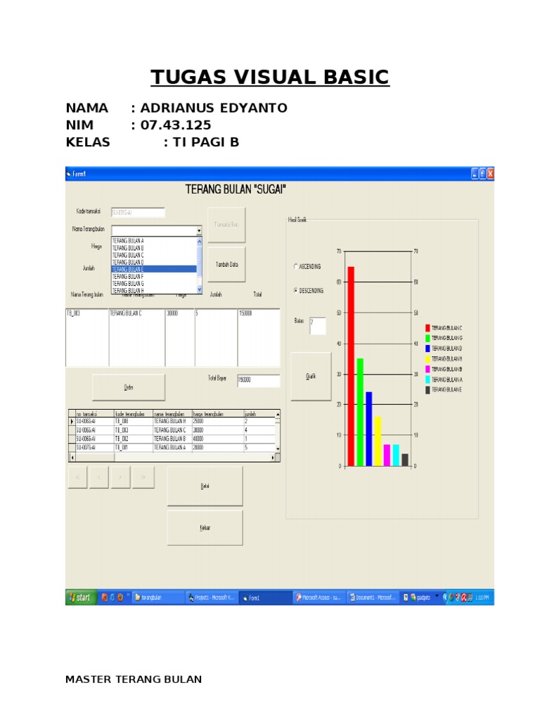 Visual Basic Sales Management System | PDF