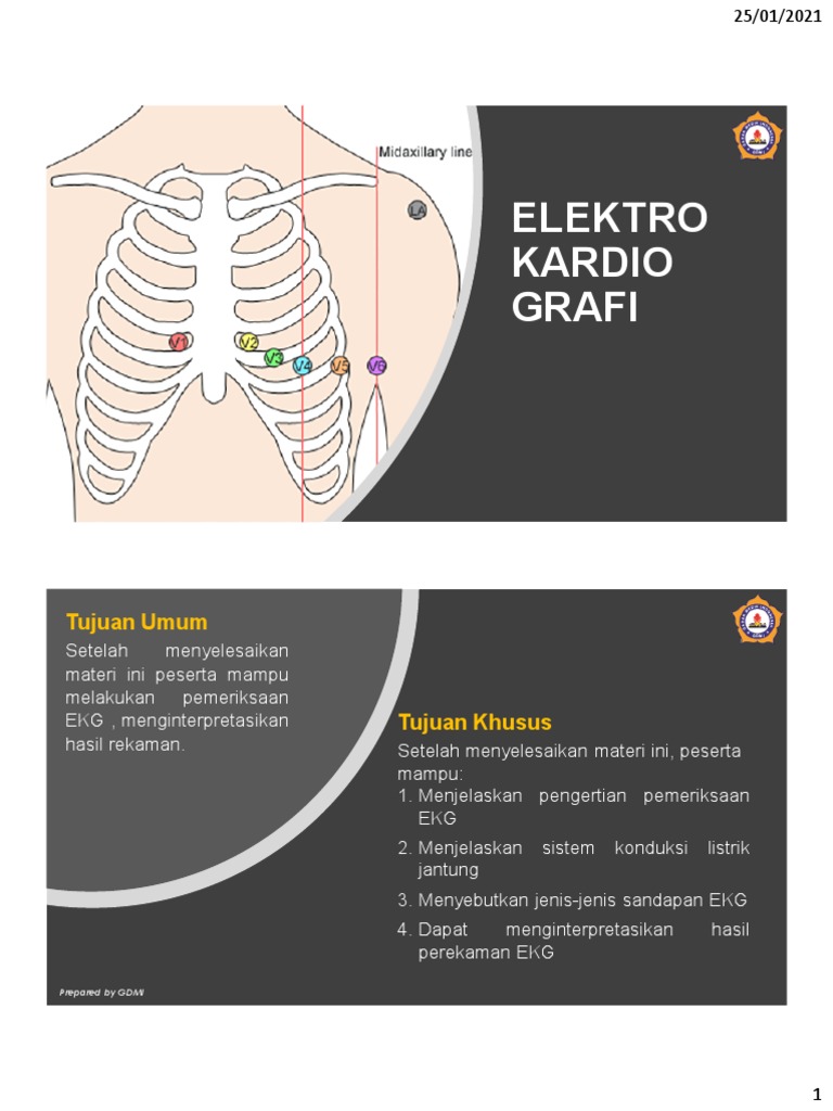 Panduan Lengkap Interpretasi EKG | PDF