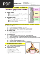 Dr Adel Bondok S Upper Limb Anatomy Pdf Pdf