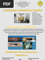 Fase Cromatica, Enfisematosa, Licuefactiva, Esqueletización y ...