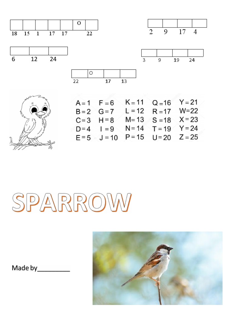 Sparrow Worksheet | PDF