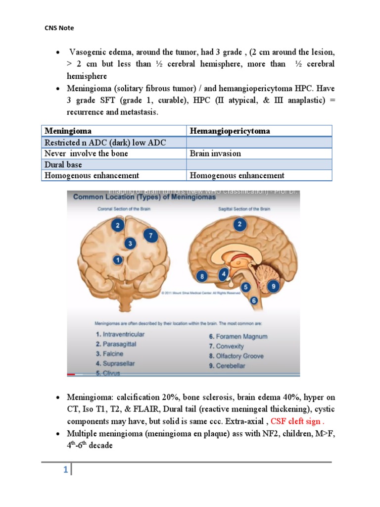 CNS - Note | PDF | Neoplasms | Neuroscience