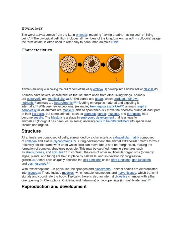 Etymology: Structure | PDF | Sexual Reproduction | Biology