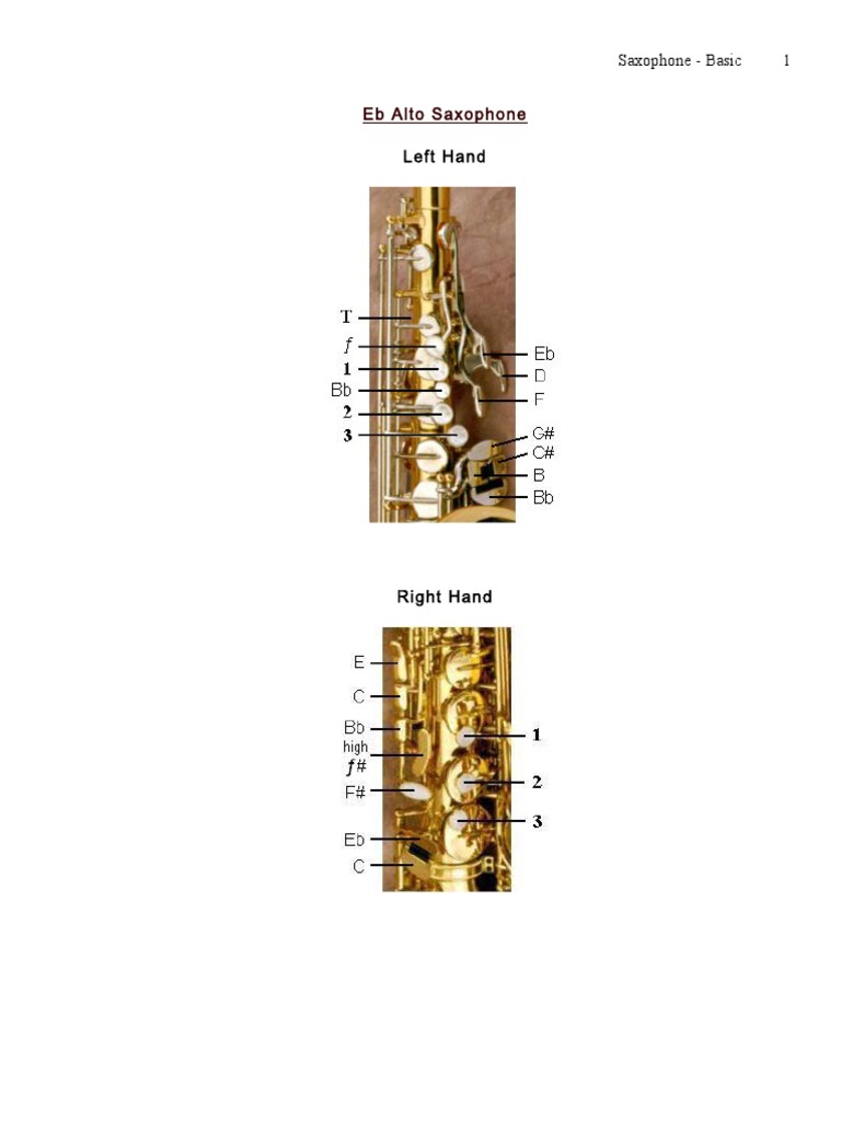 Fingering Chart Saxophone Basic | PDF | Saxophone | Hand