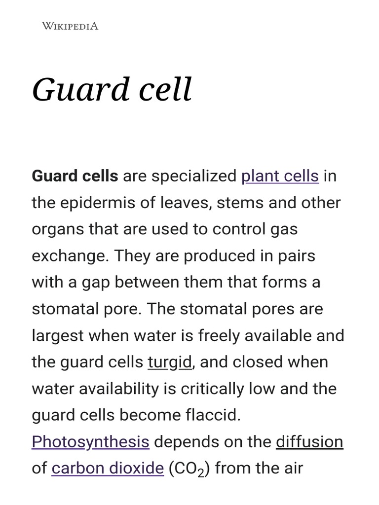Guard Cell - Wikipedia | PDF | Stoma | Plants