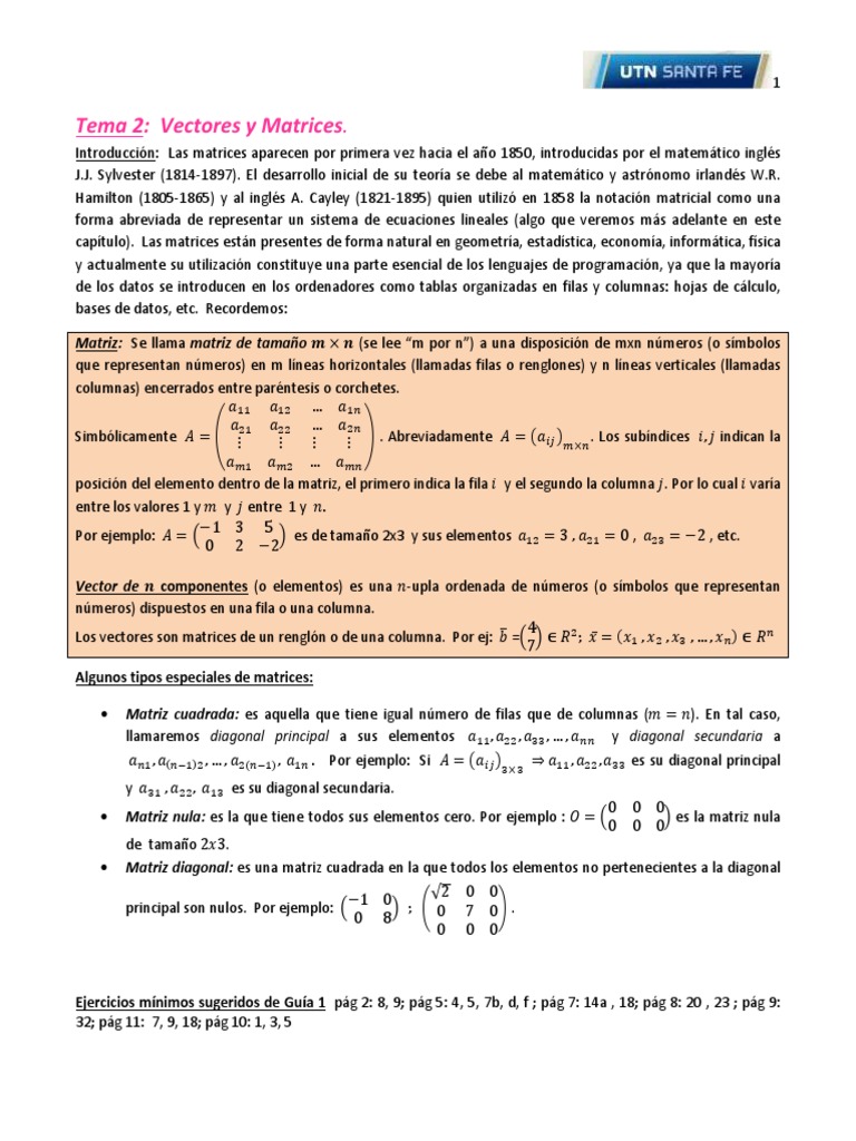 Tema 2 - Matrices | PDF | Matriz (Matemáticas) | Vector Euclidiano