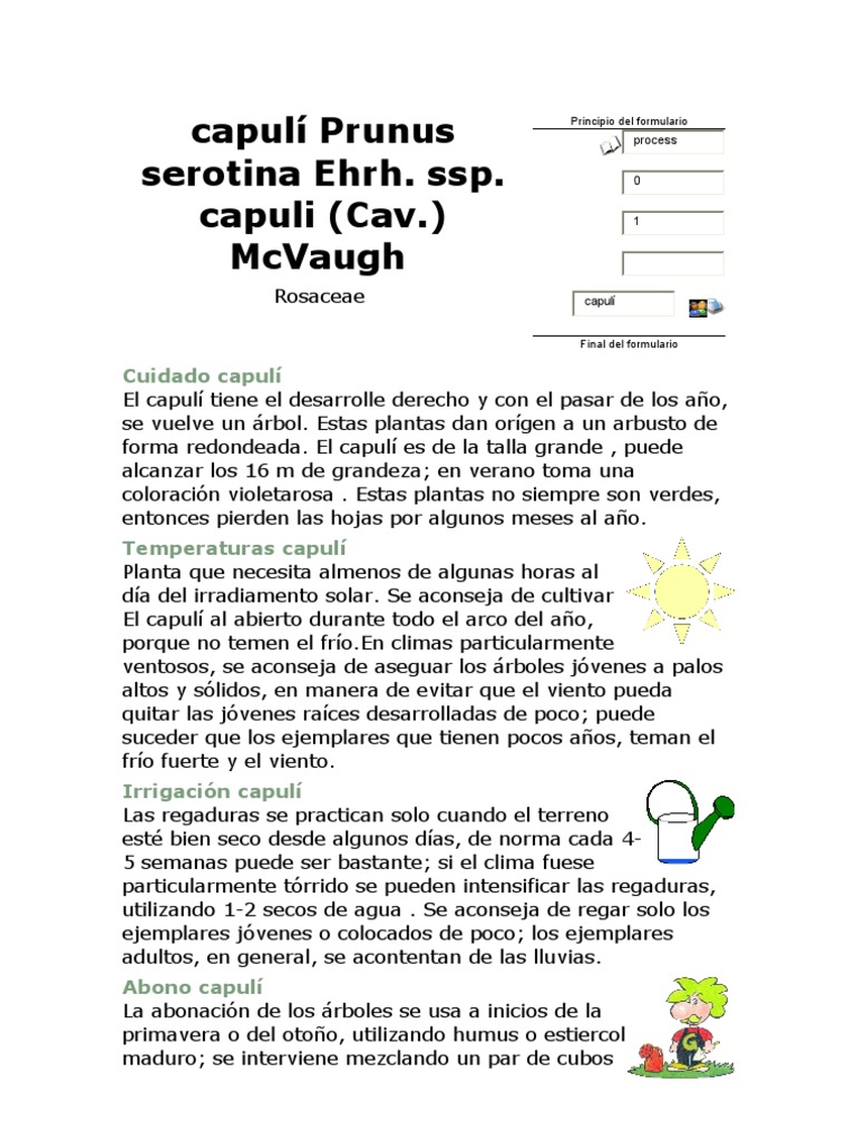 Capulí Prunus Serotina Ehrh | PDF | Plantas medicinales | Arboles