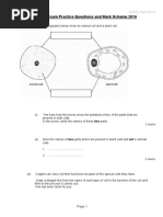 Year 8 Science Exam Practice Questions 2016 | PDF | Chemical Substances ...