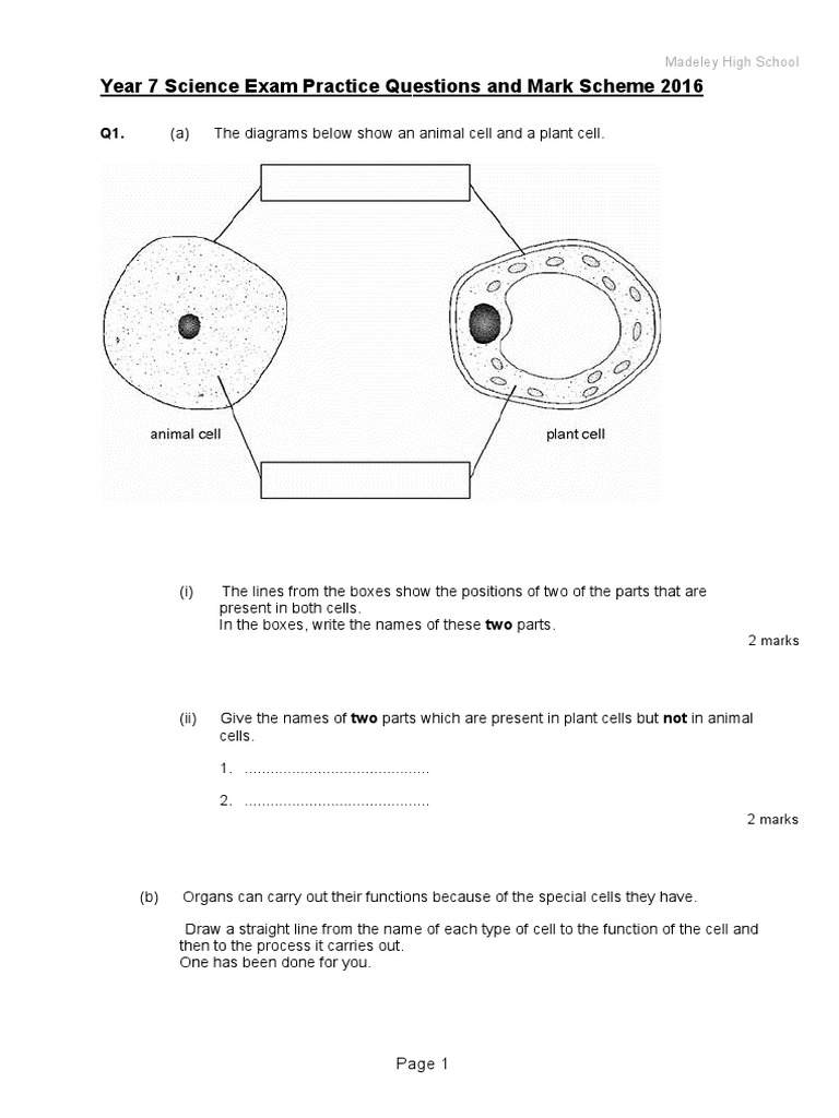 Year 7 Science Exam Practice Questions 2016 | PDF | Rock (Geology ...