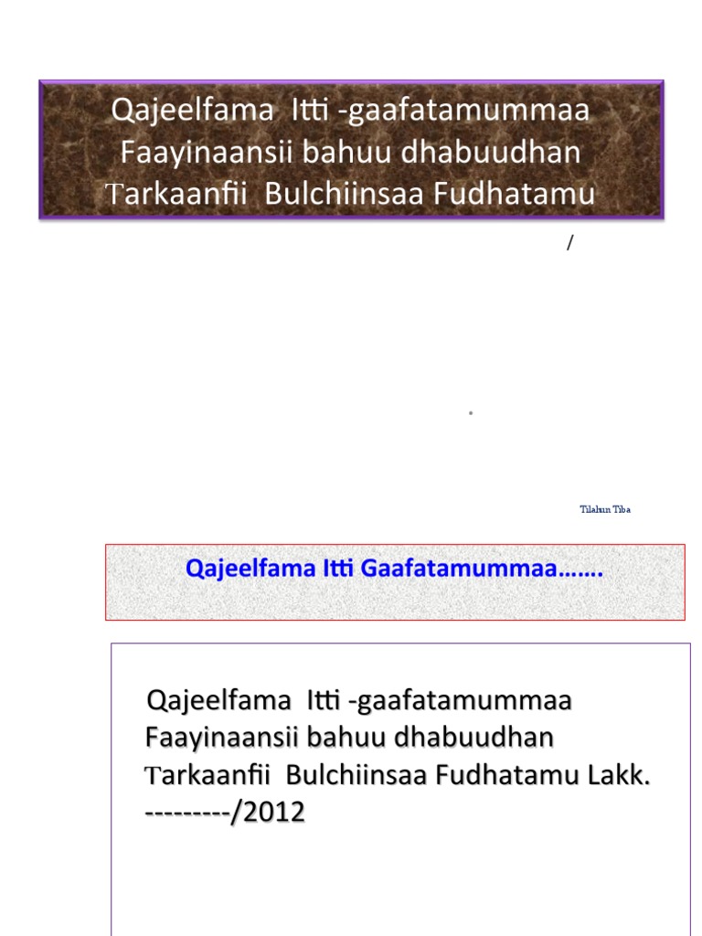 Qajeelfama Itti - Gaafatamummaa Faayinaansii Bahuu Dhabuudhan ...