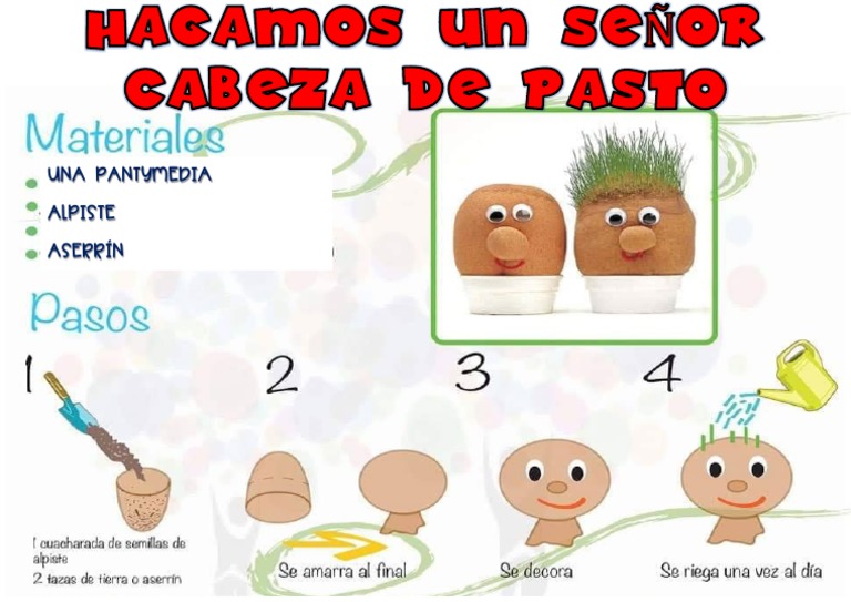 Señor Cabeza de Pasto | PDF