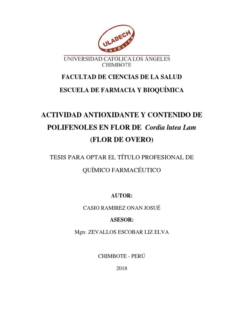 Antioxidantes en Flor de Overo | PDF | Antioxidante | Radical (Química)