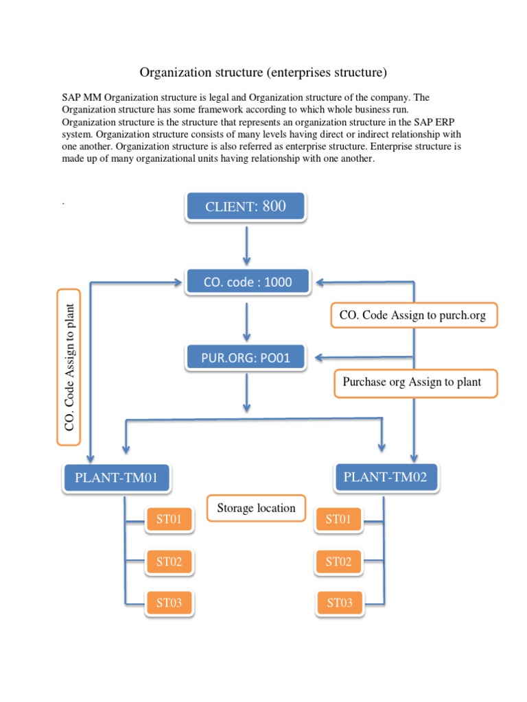 SAP Organization Structure | PDF | Procurement | Information Management