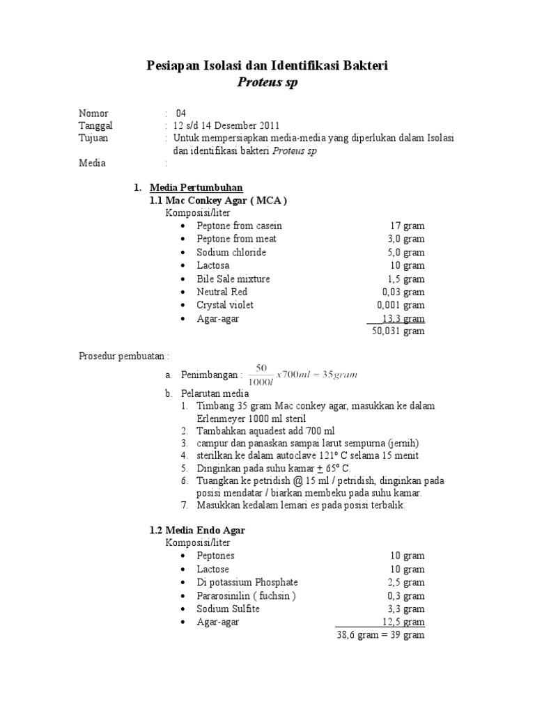 Panduan Isolasi Proteus sp | PDF