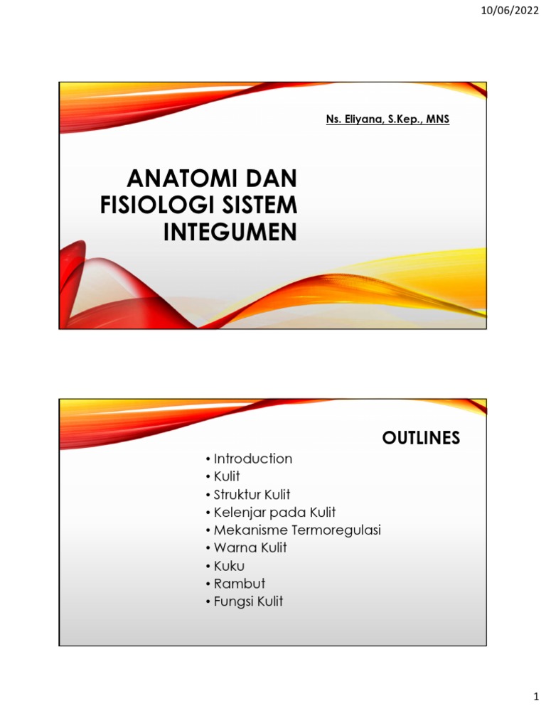 Anfis Sistem Integumen - PPTX | PDF