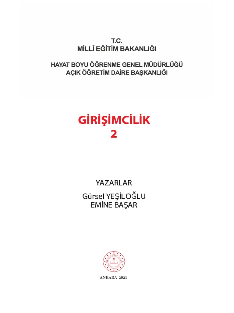 Girisimcilik 2 | PDF
