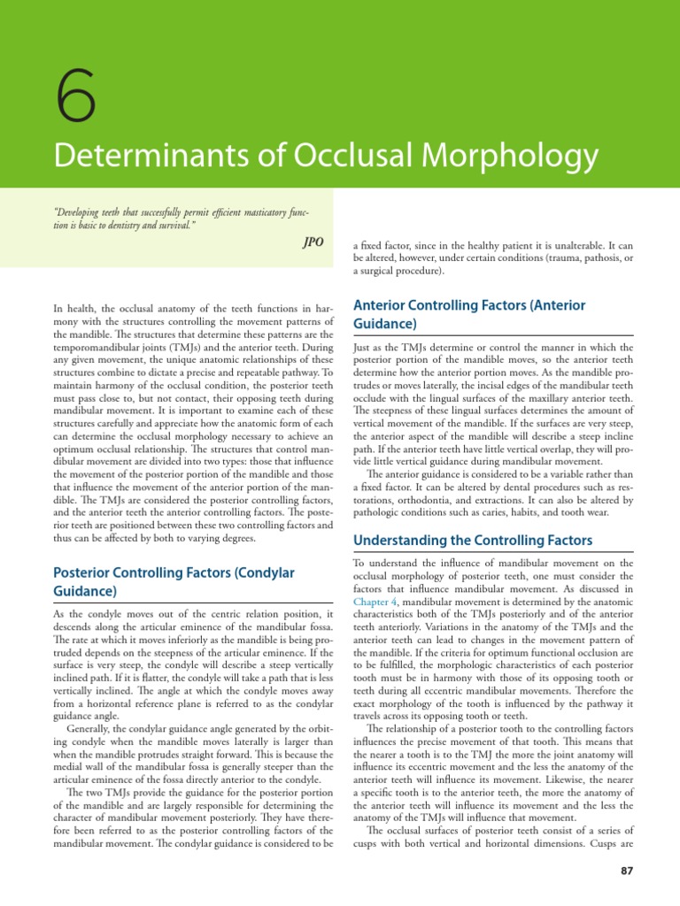 Management Of Temporomandibular Disorders And Occlusion Jeffrey P