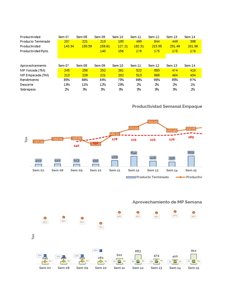Cost Report 1 PDF