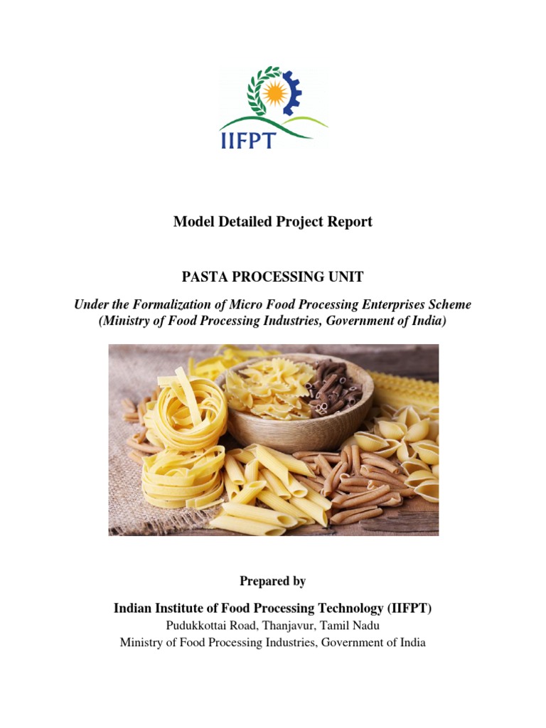 Model Detailed Project Report: Pasta Processing Unit | PDF | Pasta ...