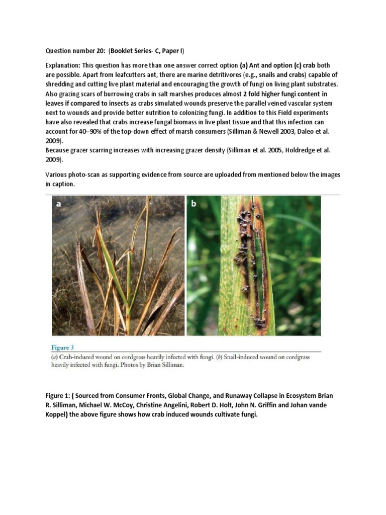 Question Number 20, Paper1 Setc | PDF | Technology & Engineering