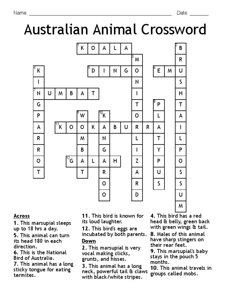 Australian Animal Crossword: Name: - Date | PDF | Ornithology | Birds