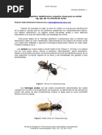 Biología y control de zompopos | PDF | Insectos | Suelo