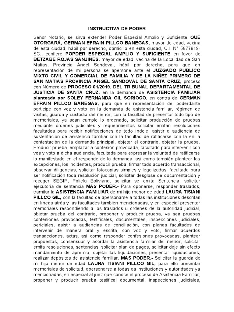Instructiva de Poder - Betzabe Rojas | PDF | Demanda judicial | Sentencia (ley)