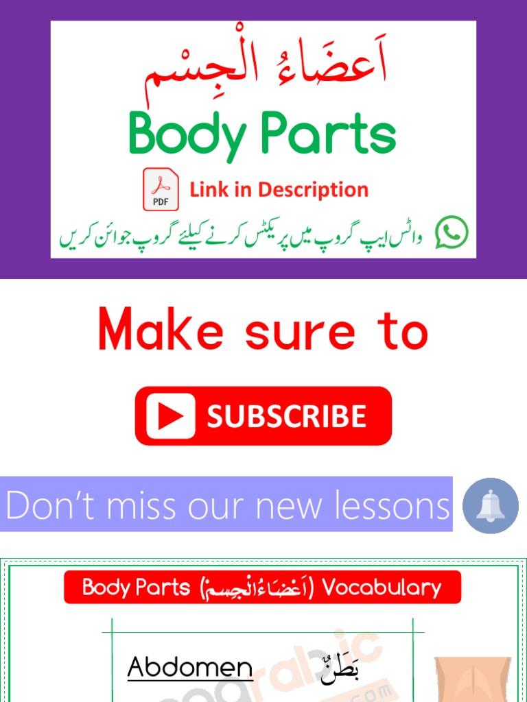 Body Parts Vocabulary in Arabic and Urdu | PDF | Human Anatomy
