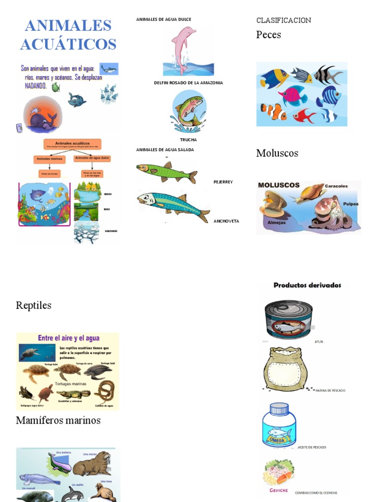 Animales Acuáticos | PDF