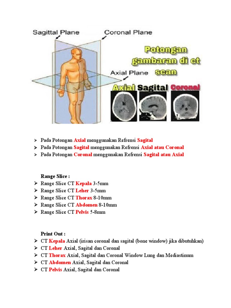Potongan CT Scan | PDF