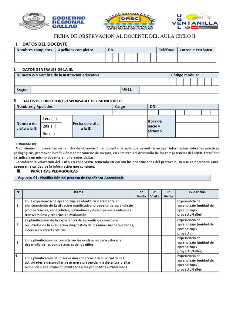 Observación Al Docente - Ficha-Ok | PDF | Aprendizaje | Evaluación