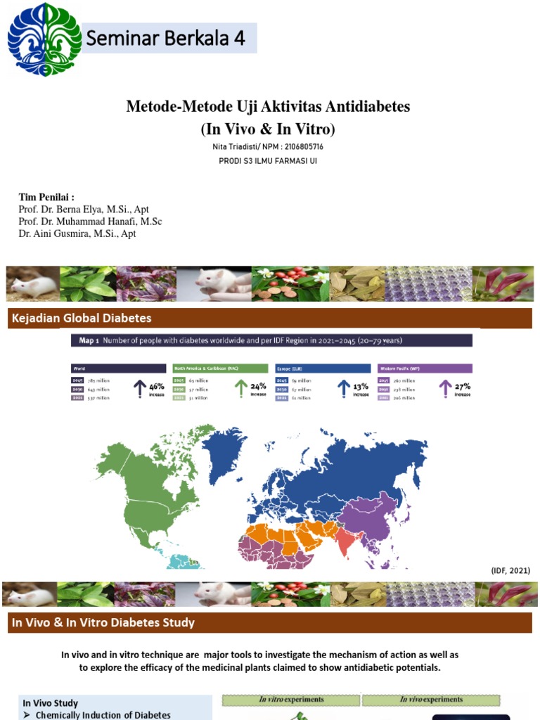 Bioassay For Antidiabetes | PDF | Insulin | Insulin Resistance