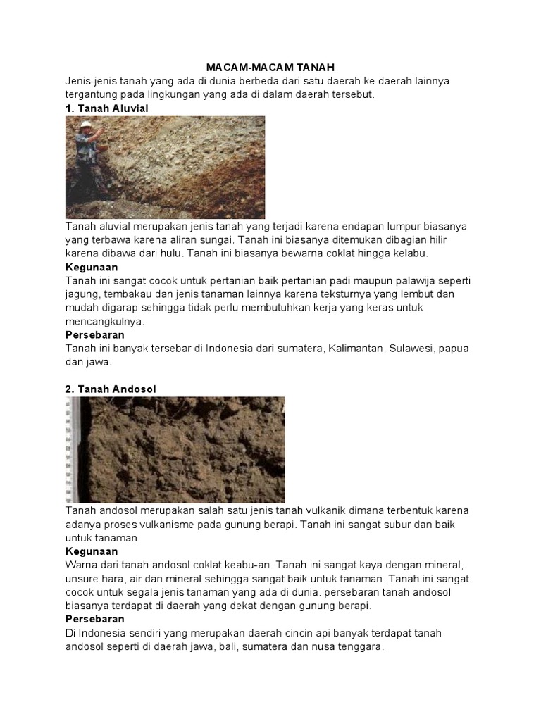 Macam-Macam Tanah | PDF | Griya & Taman | Sains & Matematika