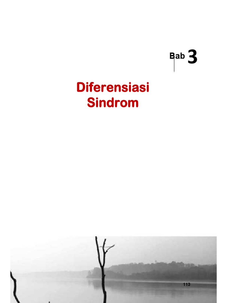 Diagnostics TCM 2 | PDF