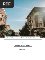 Evs Project - Water Pollution | PDF | Water Pollution | Water