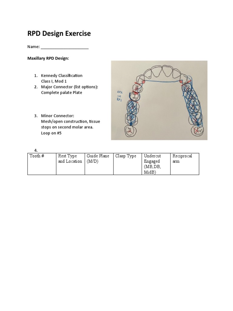 KEY RPD Design Exercise | PDF | Animal Anatomy | Dentistry
