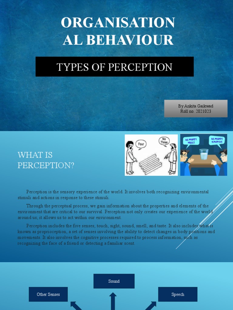 Types of Perception (OB) | PDF | Perception | Senses