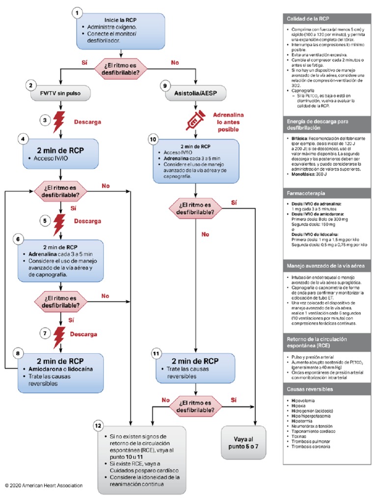 Algoritmos ACLS | PDF