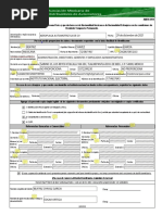 Formato Amda PF | PDF