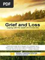 Grief Roller Coaster | PDF