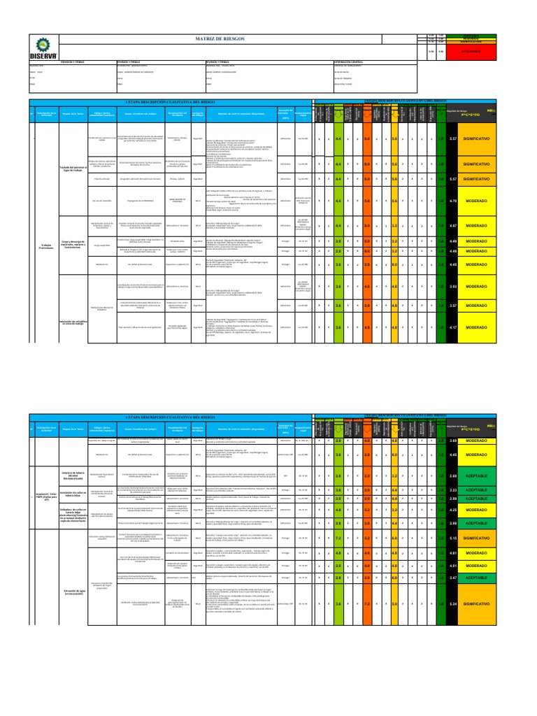 Matriz Cosapi | PDF | Licencia de conducir | La seguridad