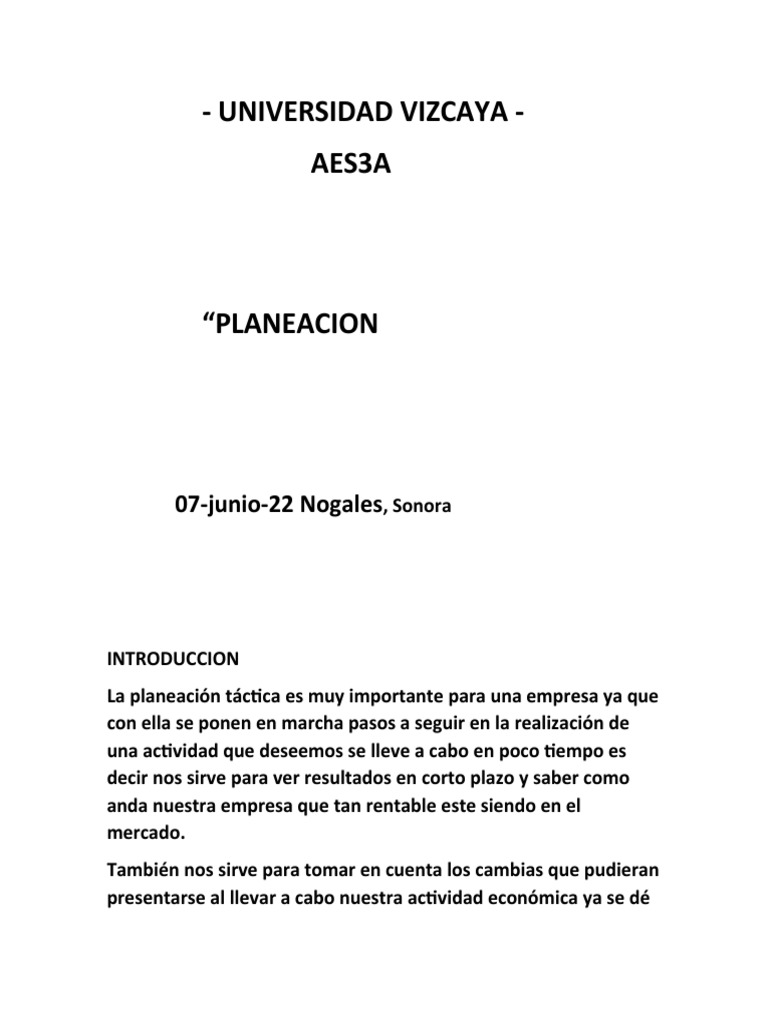 Plan Tactico | PDF | Presupuesto | Planificación