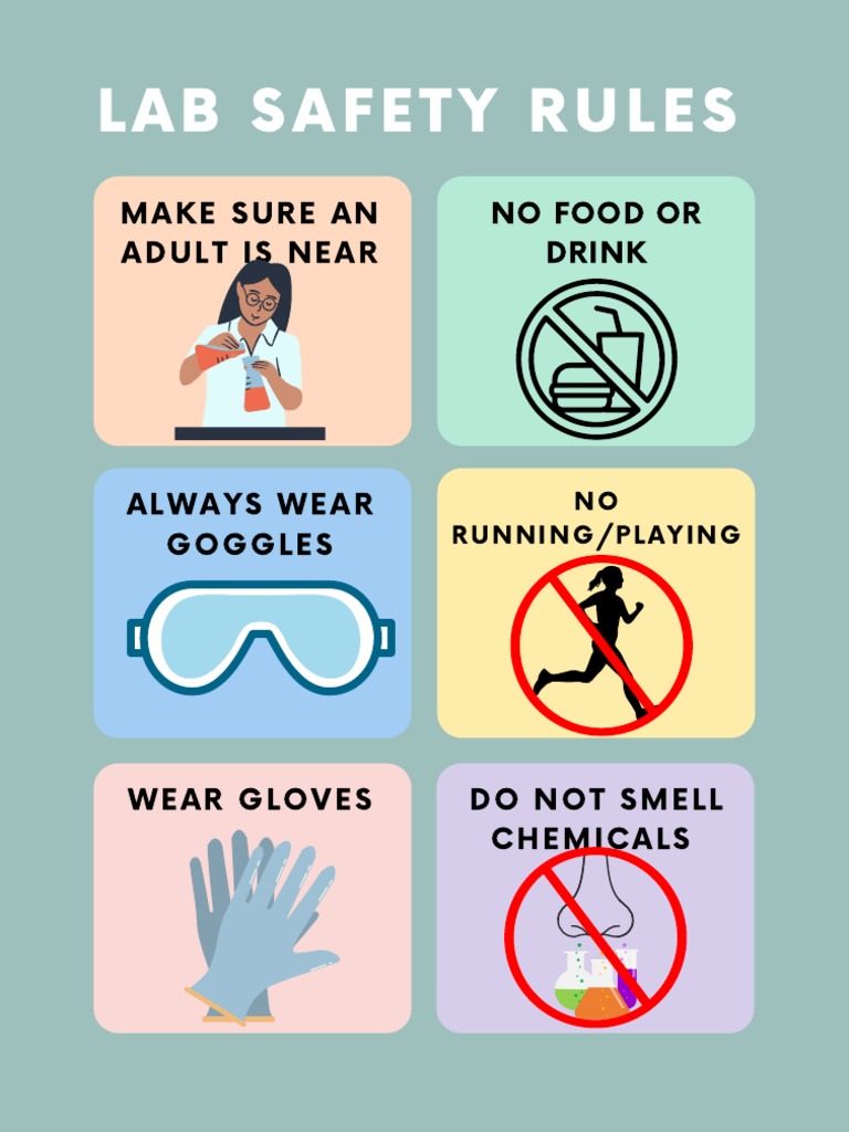 Lab Safety 1 | PDF